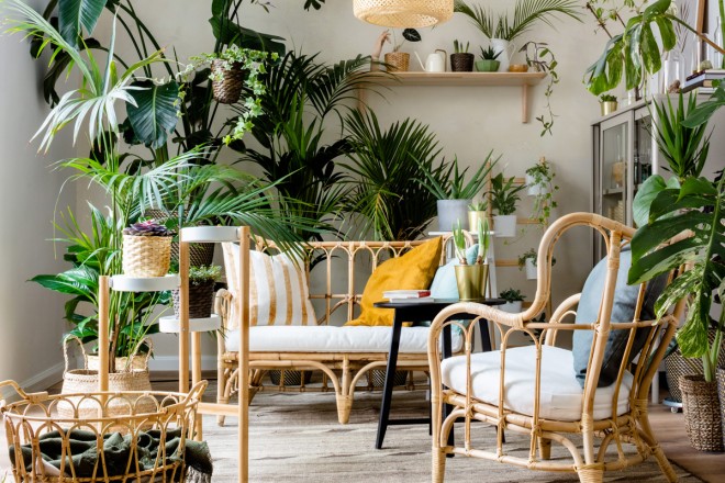 Arredare una casa con stile grazie alle piante